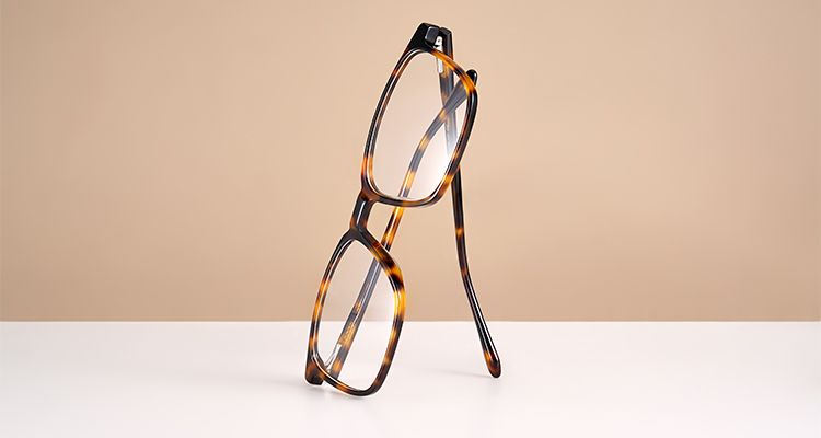 Flexible Glasses: Comfy Frames That Bend | ZEELOOL