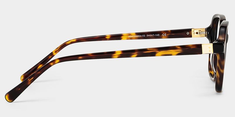 Talia Tortoise Frame Glasses with Square Frame Online | ZEELOOL