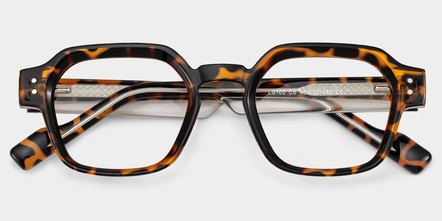Joy Tortoise Frame Glasses with Geometric Frame Online | ZEELOOL