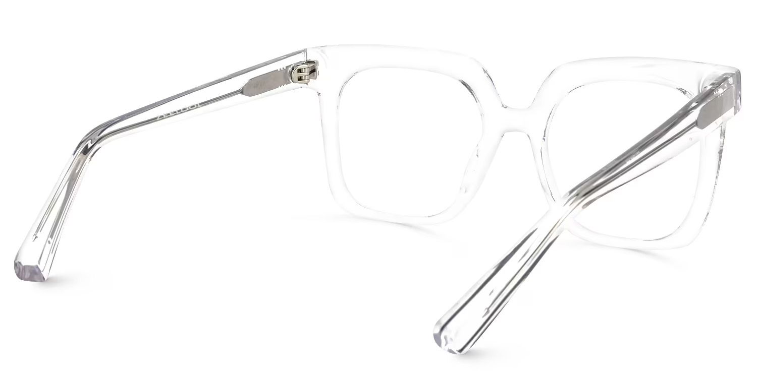 Dexter Square Crystal Eyeglasses and Acetate Frames