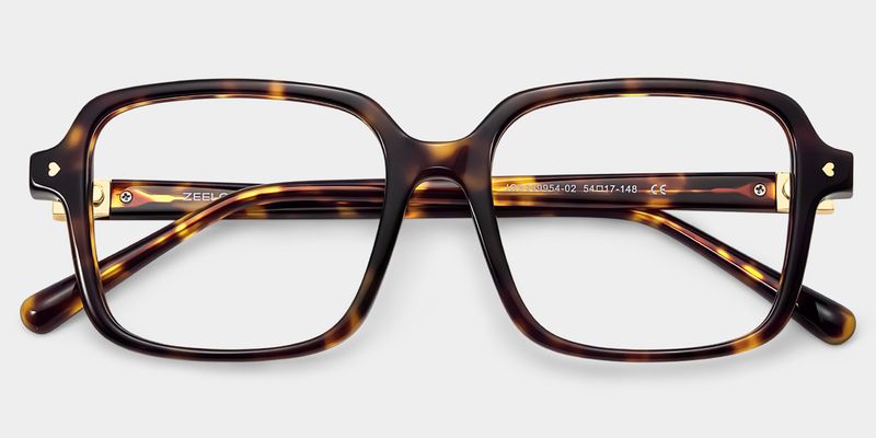 Talia Tortoise Frame Glasses with Square Frame Online | ZEELOOL