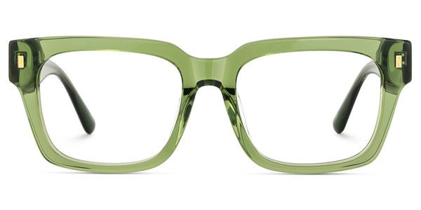 Clear Green Glasses Frames With Green and Tortoise Temples