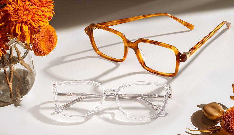 Most Popular Eyeglass Frames for Women and Men | ZEELOOL