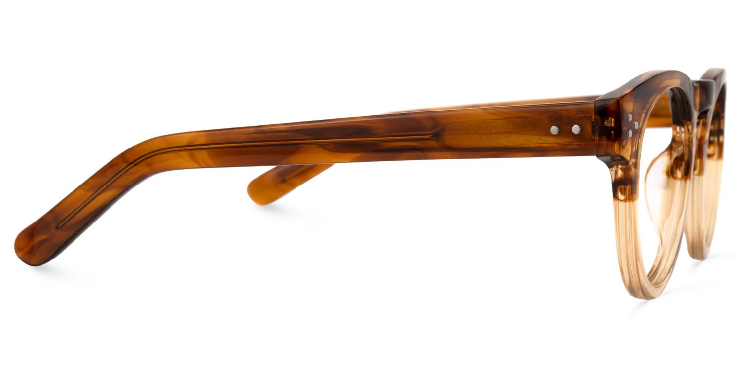 Round Tortoise Glasses | Zeelool Eyeglasses Online
