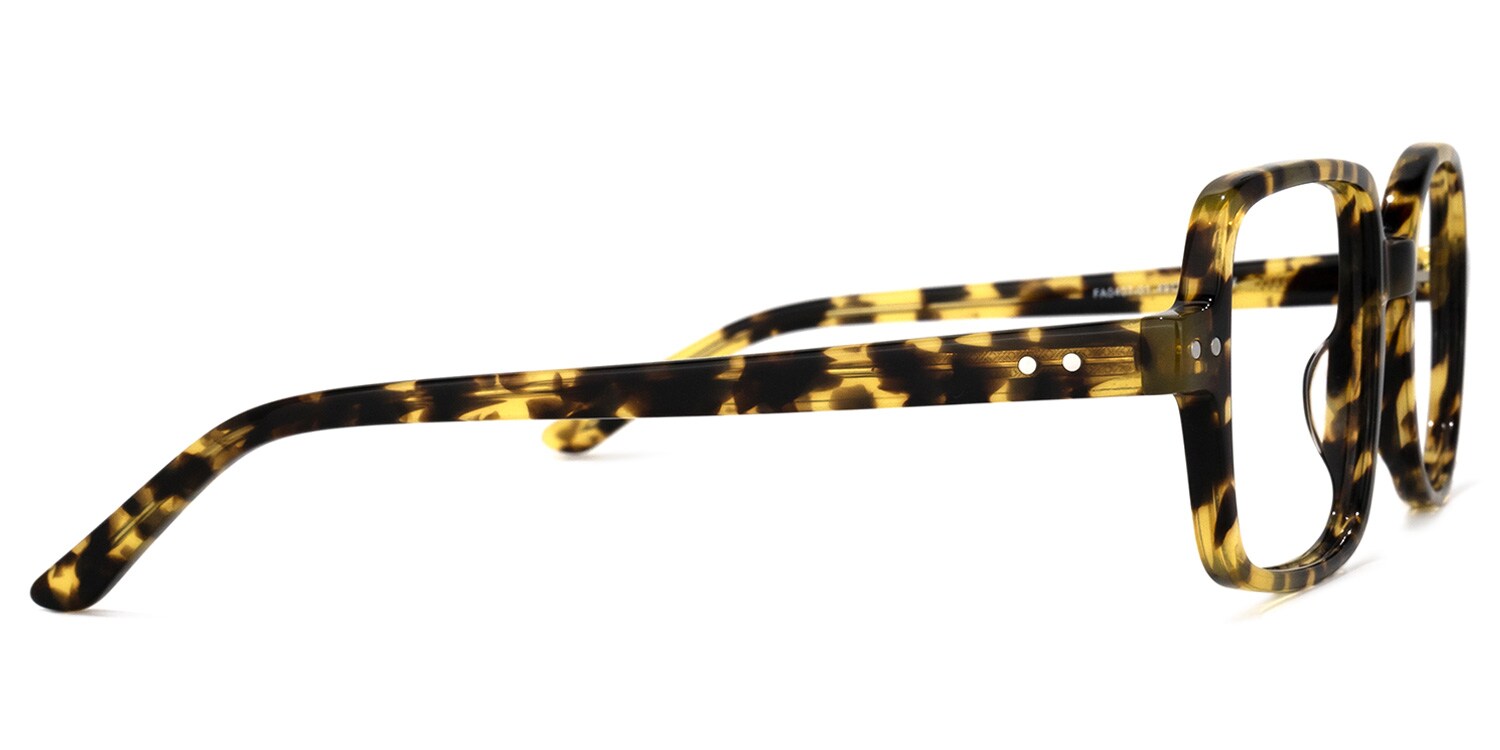 Tony Asymmetric Tortoise Glasses | Zeelool Glasses